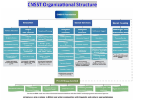 Organisational Structure | CNSST Foundation